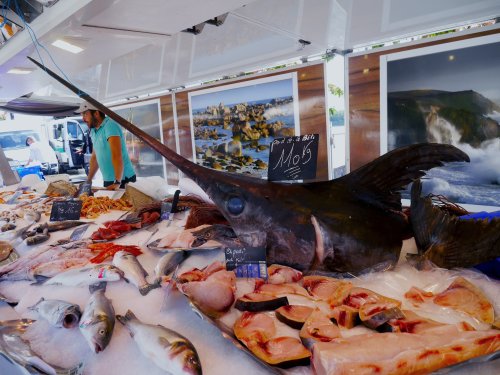 12 Best Swordfish Sides You'll Enjoy - Becoming A Chef